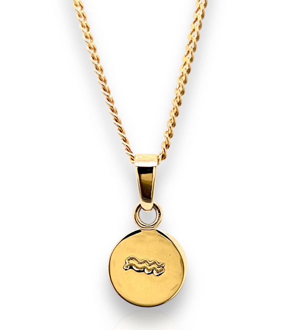 Handmade Aquarius disc Pendant – Haab Designer Jewellers